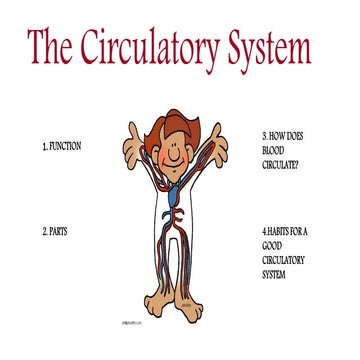 The circulatory system | PPTX