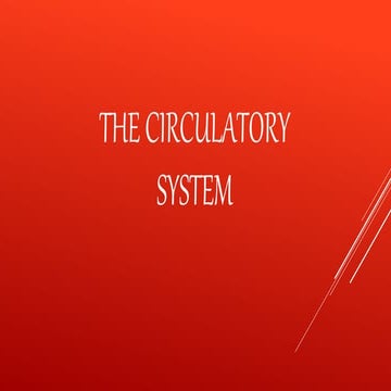 The circulatory system | PPT