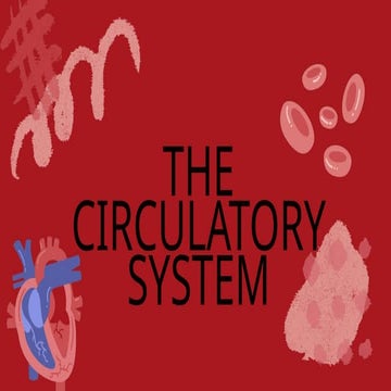 Components of the Human Circulatory System.pptx