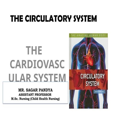 The Cardiovascular System: The Body’s Circulatory Lifeline | PPT