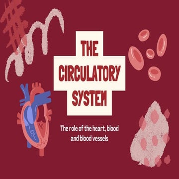 The Circulatory System Presentation.pdff
