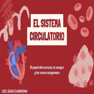 The Circulatory System Education Presentation in 0 Hand Drawn Lightly ...