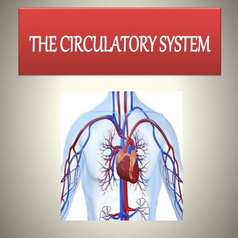The circulatory system ppt | PPTX