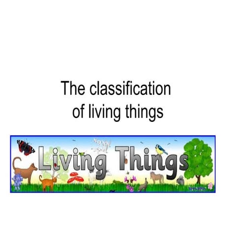 The classification | PPT