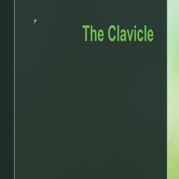 Anatomy of the Clavicle: Structure, Articulations & Muscle Attachments ...
