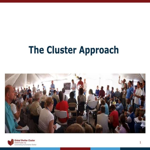The Cluster Approach Presentation.ppt