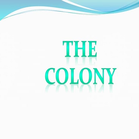 The colony. 4th i term | PPT