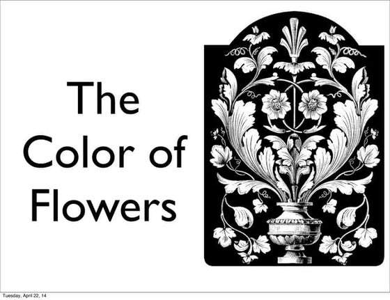 Intuitive Color Expert Who Sees Color Differently | PDF