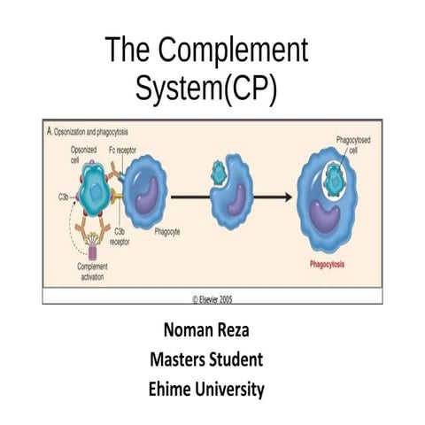 The complement system overview | PPT