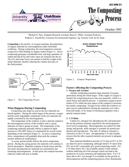 Process flow sheet diagram | PPTX