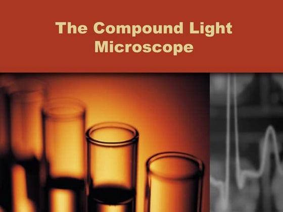 compound microscope (basic) | PPTX