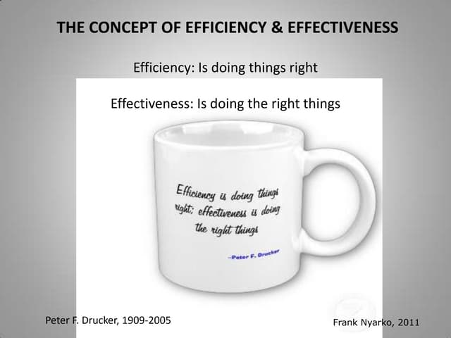 Efficiency and effectiveness: Presentation with Examples | PPTX