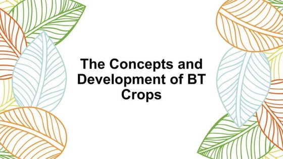Bt Cotton | PPT