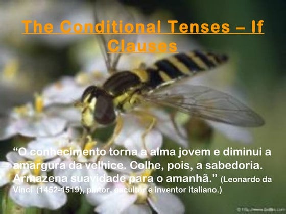 Conditional explanation | PPT