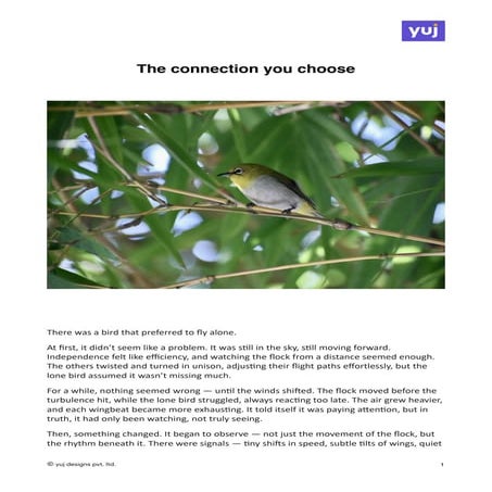 The connection you choose- yuj a global ux design studio | PDF
