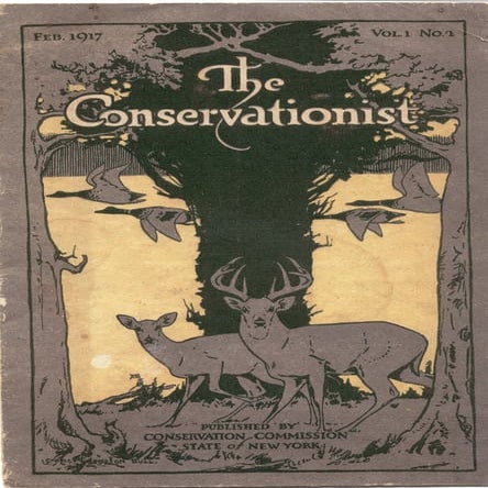 The conservationist 1917 | PDF