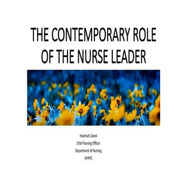 Aone nurse executive competencies | PDF