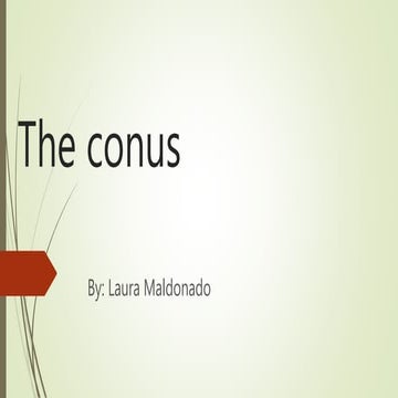 The conus | PPT
