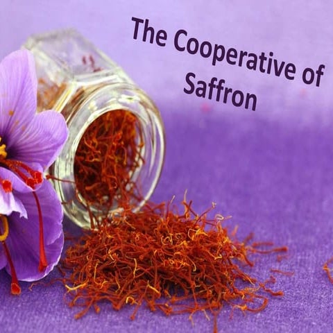 The cooperative of saffron | PPTX
