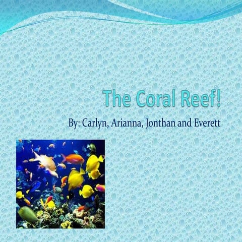The coral reef! | PPTX | Fish and Aquariums | Pets