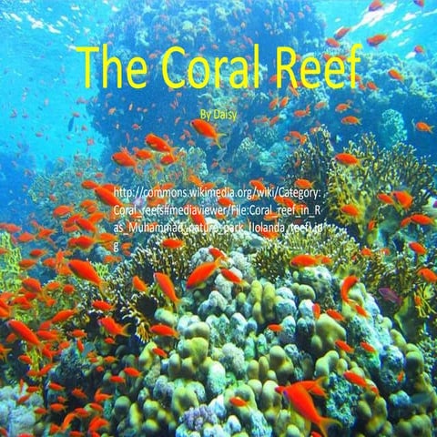 The coral reef | PPTX