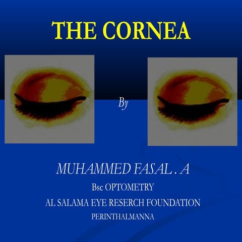 all about cornea | PPT