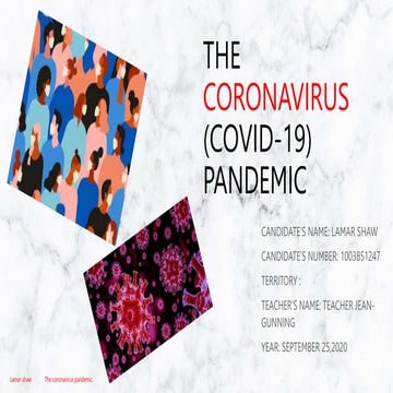 The coronavirus (covid-19) pandemic.pptx
