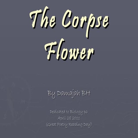 The corpse flower Damajah | PPT
