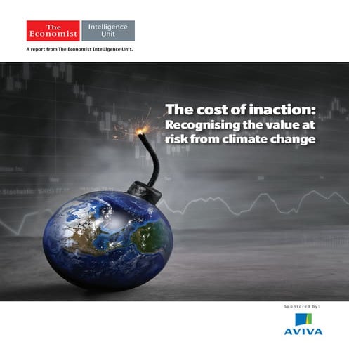 The cost of inaction | PDF