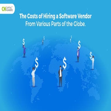 The Costs of Hiring a Software Vendor | PDF
