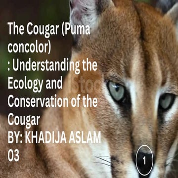The Cougar (Puma concolor) Understanding the Ecology and Conservation ...