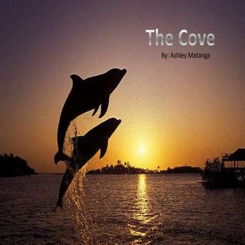 The Cove | PPTX | Documentary | Genres