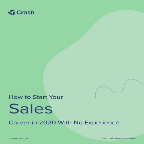 The Crash guide to sales careers | PDF