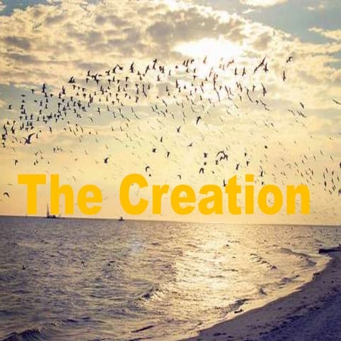 The Creation(300312) | PPT