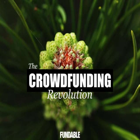 The Crowdfunding Revolution | PPTX