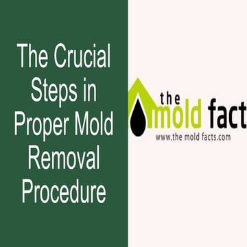 Mold Facts presentations
