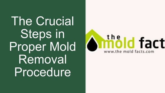 Exploring the Importance of Mold Testing in Your Home | PPT