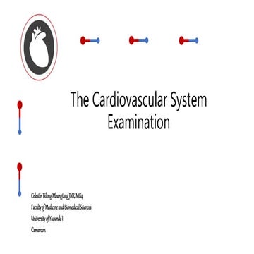 The CVS Examination | PPTX