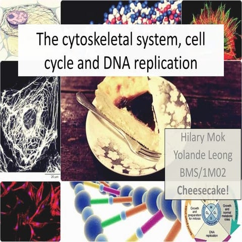 The cytoskeletal system, cell cycle and dna(project) | PPTX | Genetics ...