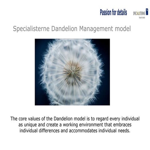 The dandelion model | PPT