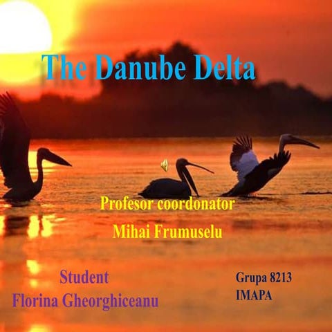 Danube Delta | PPT