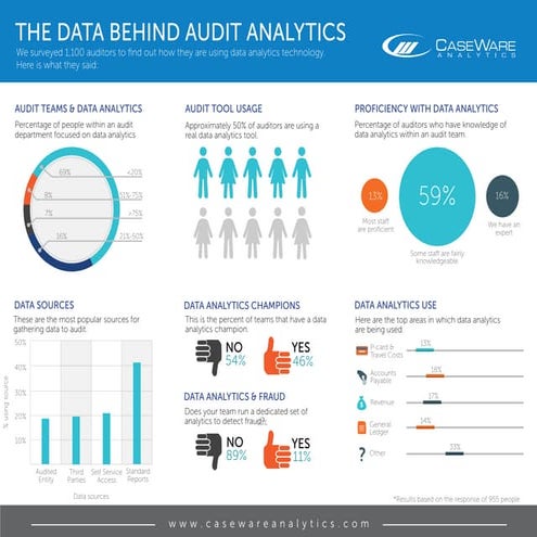 The Data Behind Audit Analytics | PPT