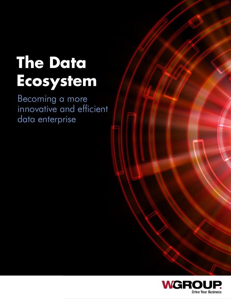 The Data Ecosystem