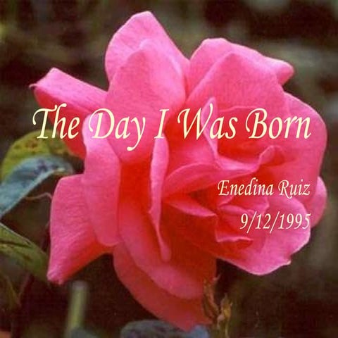 The Year I Was Born Ppt | PPT