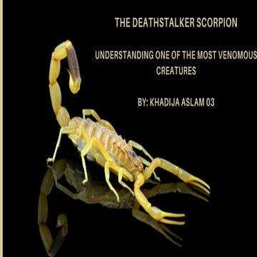 The Deathstalker Scorpion Subtitle Understanding One of the Most ...
