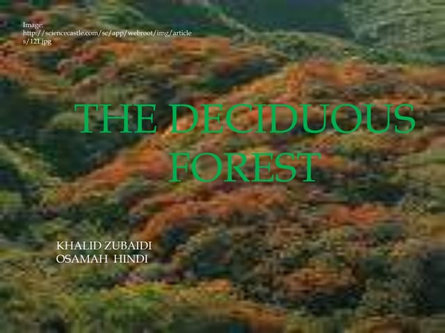 Deciduous forest biotic and abiotic | PPT