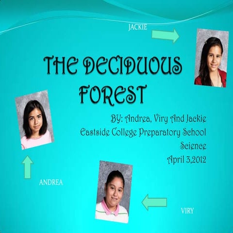 The deciduous forest project | PPTX