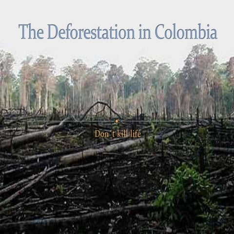 The deforestation in colombia | PPTX