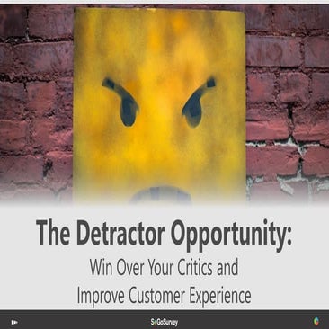 The Detractor Opportunity: How to Win Over Critics and Improve Customer ...
