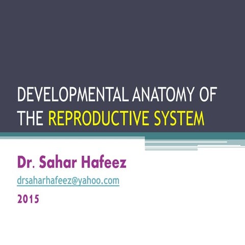 The developmental anatomy of reproductive system | PDF